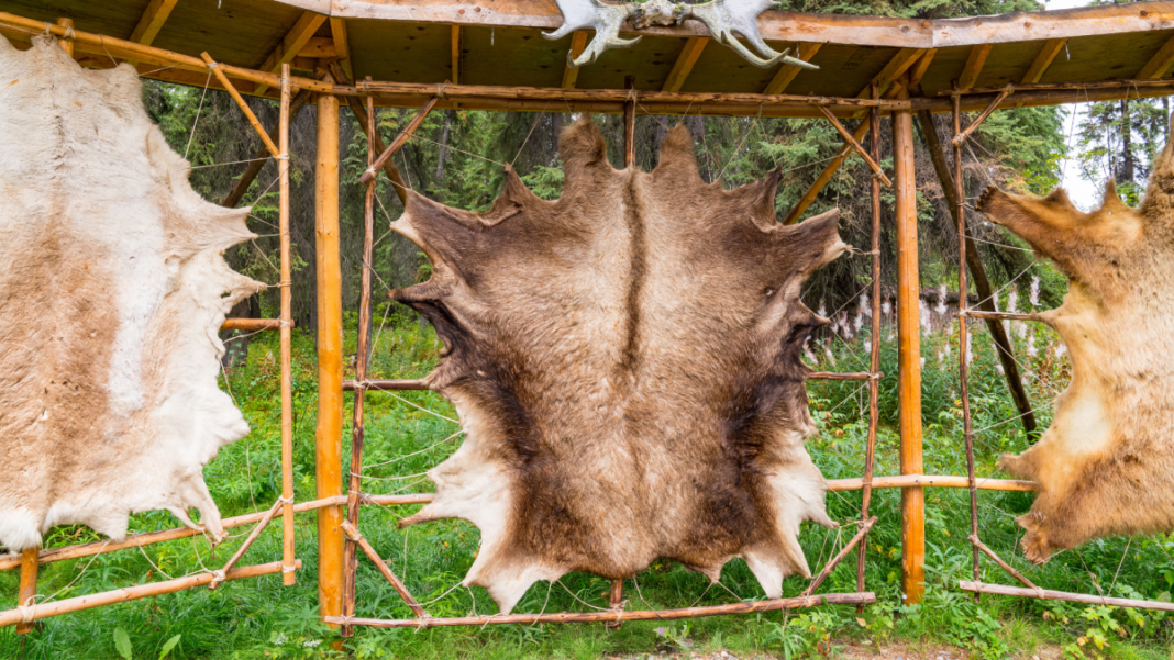 Tanning Hides – A Step-by-Step Guide to Preserve Animal Skins ...
