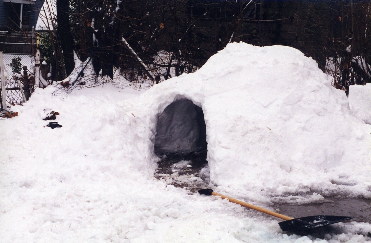 Snow Caves for Survival: A Guide to Building Warm and Cozy Winter ...